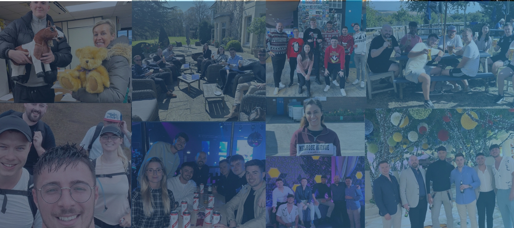 Work for us - Executive Integrity